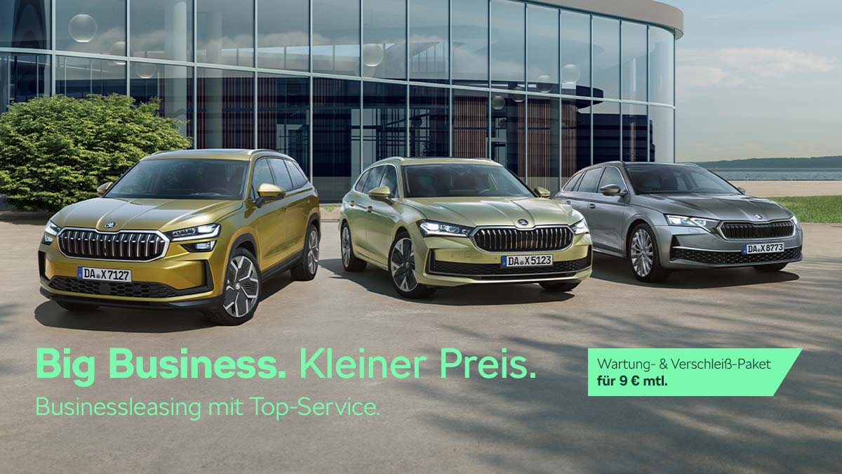 Auto über Gewerbe Kaufen